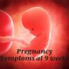 Your Ultimate Guide to Pregnancy Symptoms at 9 Weeks: What to Expect ...