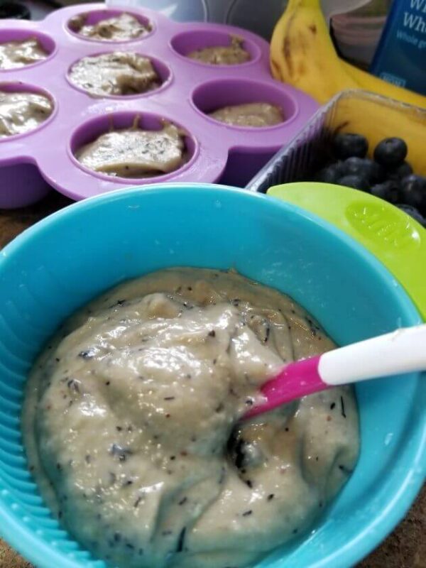 Blueberries for Baby-led Weaning (+ 15 Recipes) - Kin Unplugged