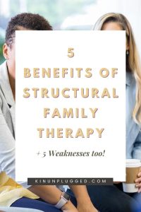 The Workings of Structural Family Therapy - Kin Unplugged