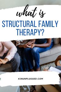 The Workings of Structural Family Therapy - Kin Unplugged
