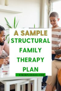 The Workings of Structural Family Therapy - Kin Unplugged