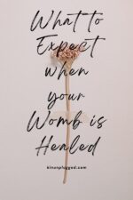 Womb healing from a Christian perspective - Kin Unplugged