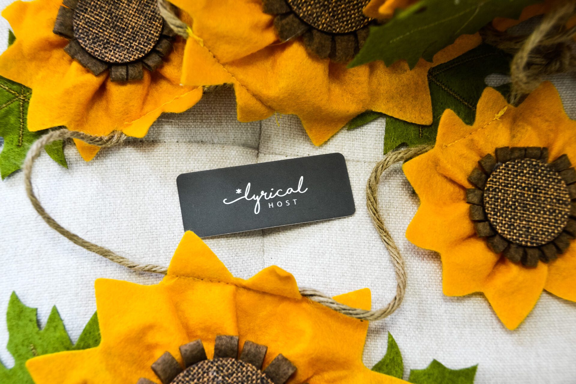 Why LyricalHost Is the Perfect Web Hosting solution for Moms