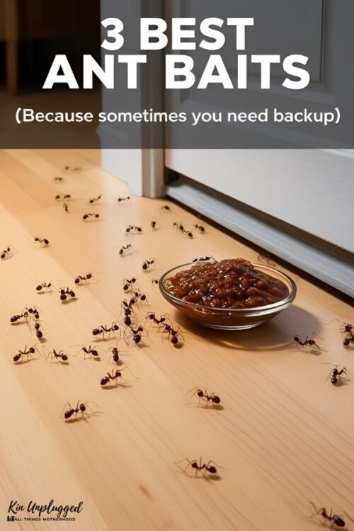 How to get rid of Ants in the house (without losing your mind) - Kin ...